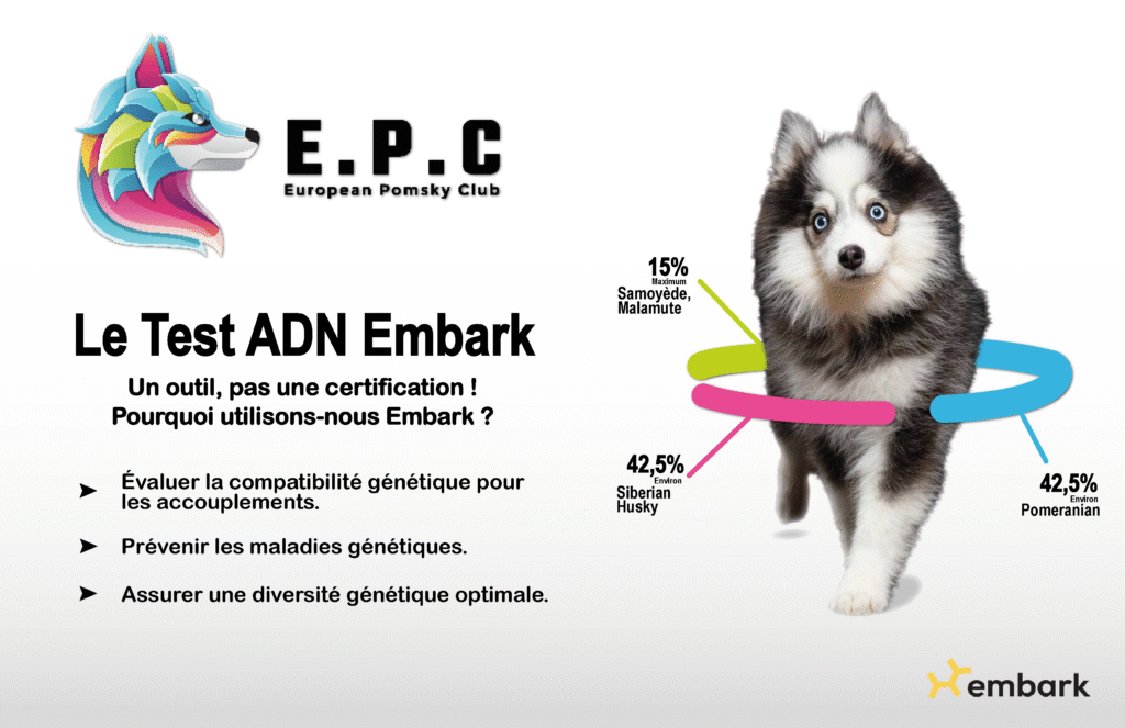 Embark : un outil utile, mais insuffisant pour certifier un Pomsky ...